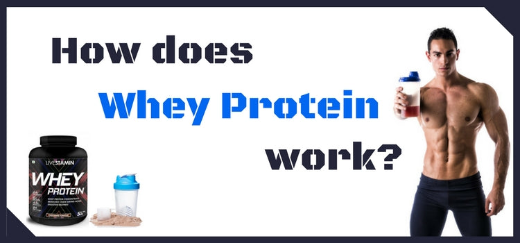 How Does Whey Protein Work – Nutracart Healthcare